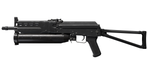 BUDGET BIZON BUILD - img Bizon