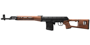 budget SVD - img SVD